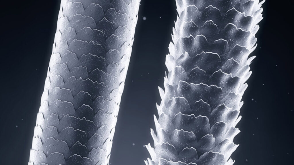 How To Stop Hair Breakage? - Organic Kandy